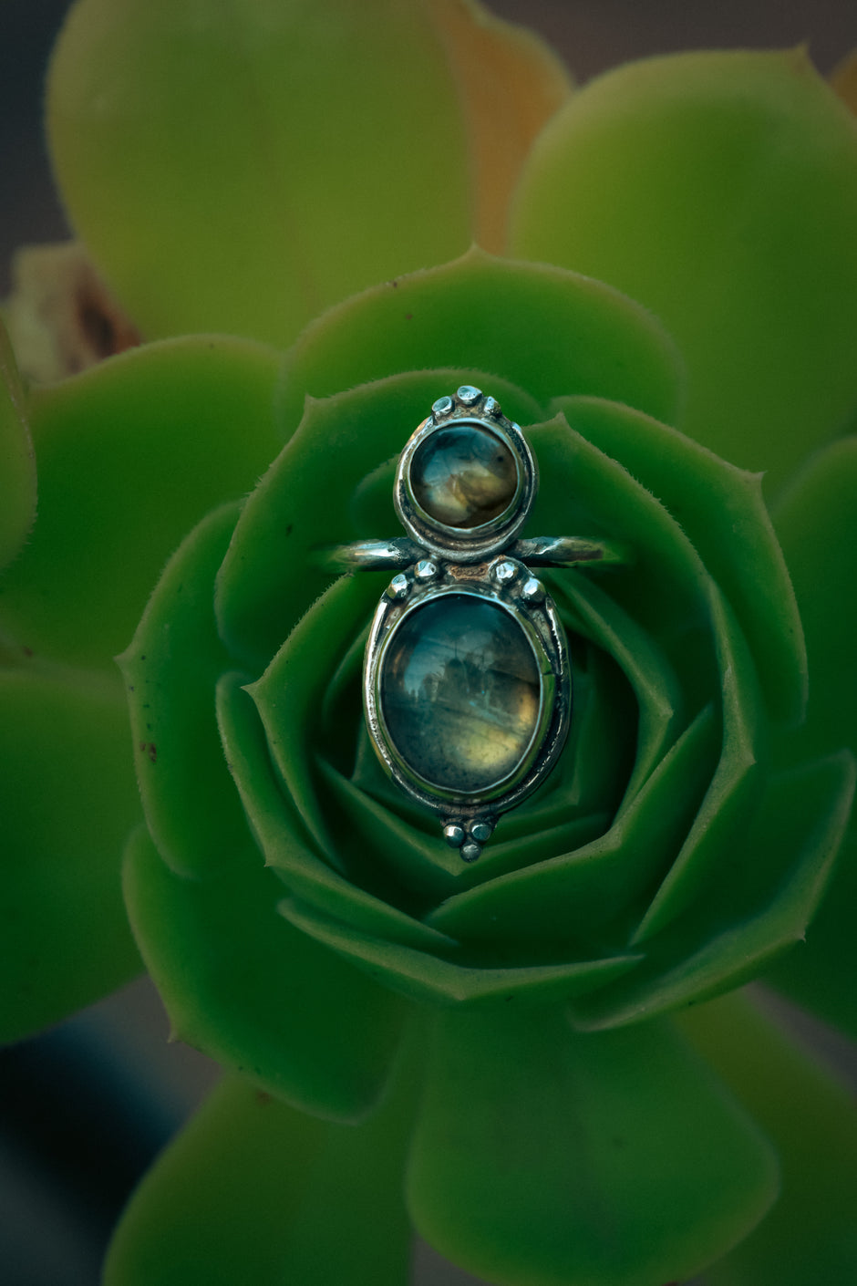 Silver – Sylvan Eye Designs